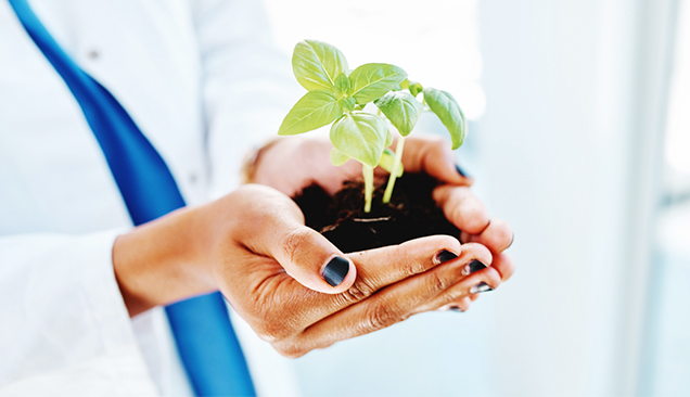 Going Green At Vision Hospital Group